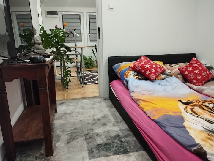 Ibolya Apartman Debrecen Kertvárosàban - 