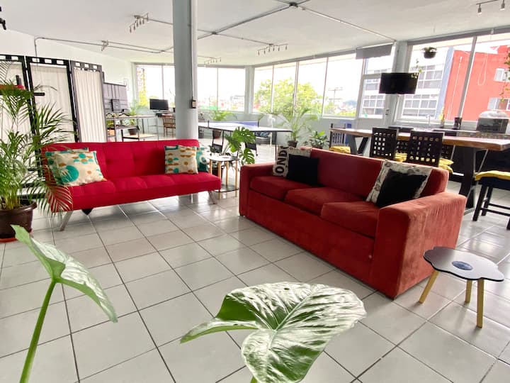 Appartement Central Et Entièrement éQuipé à Xalapa - Xalapa