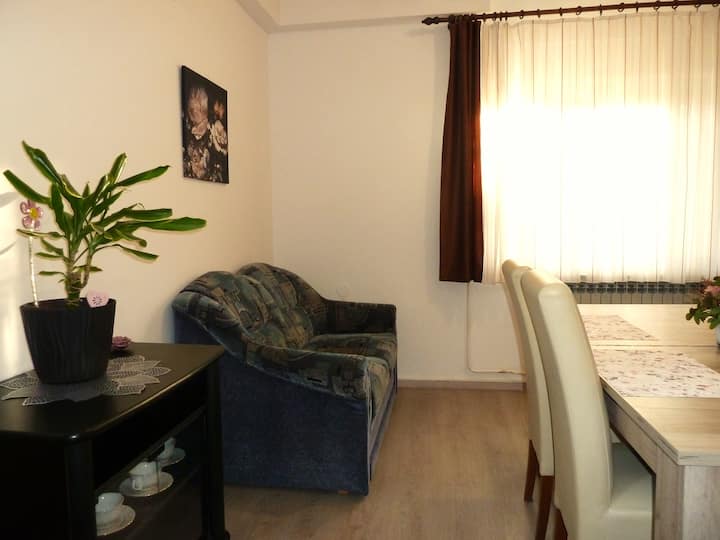 Ideal For Larger Groups - Zadar