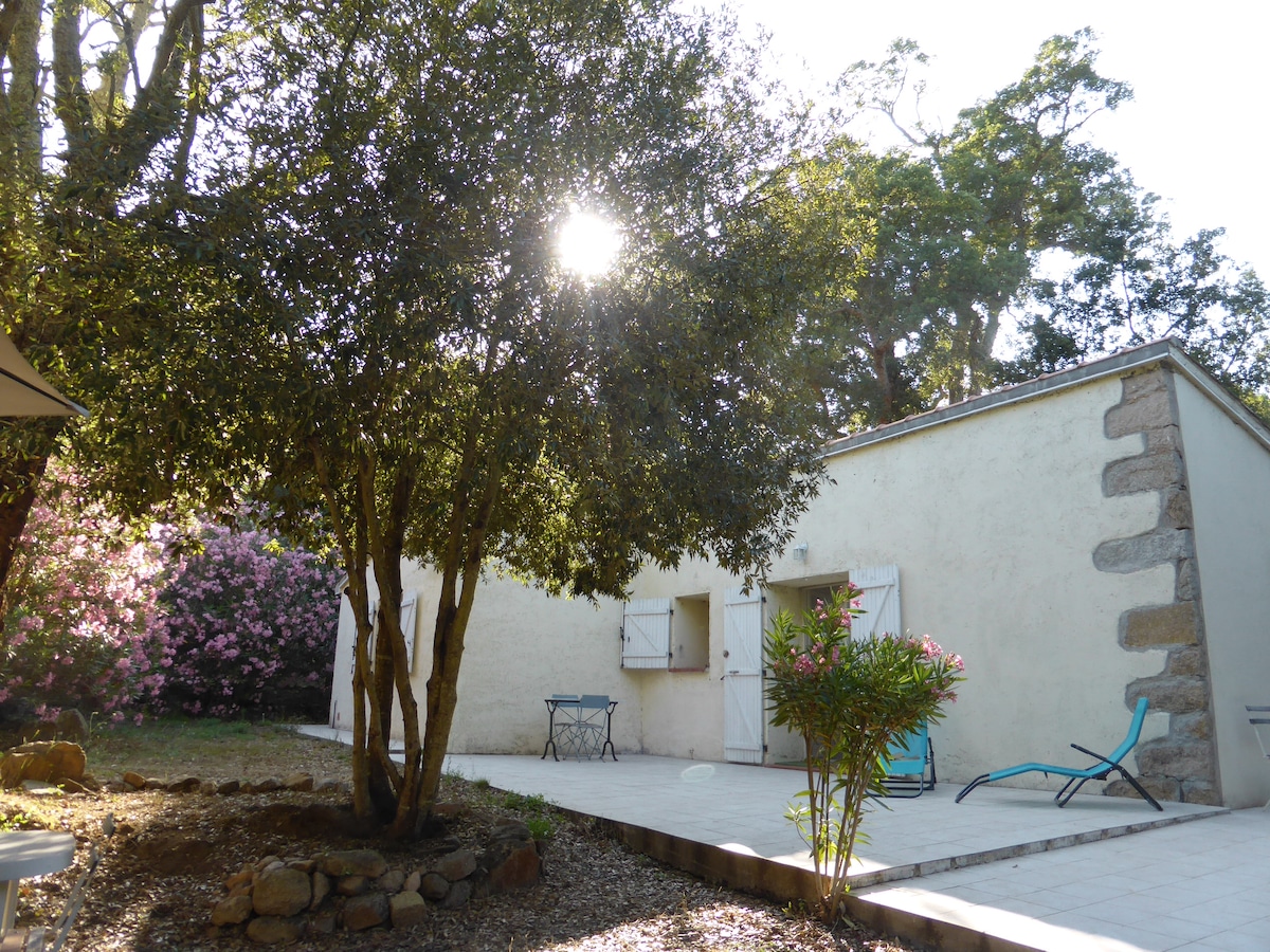 House on private land. - Houses for Rent in Conca, Corse, France - Airbnb