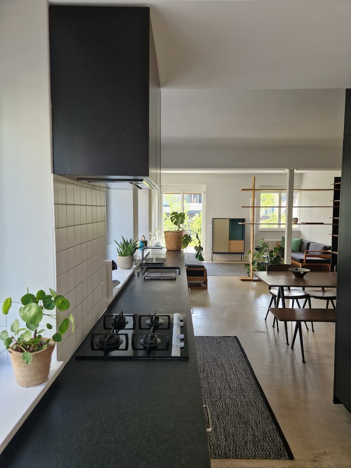 Zurich Höngg:  Spacious, Garden & Near Eth - Zürich