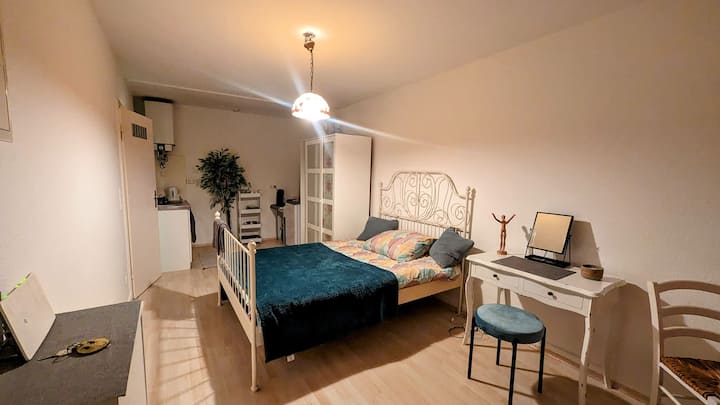 Gemütliche Wohnung - Wiesbaden
