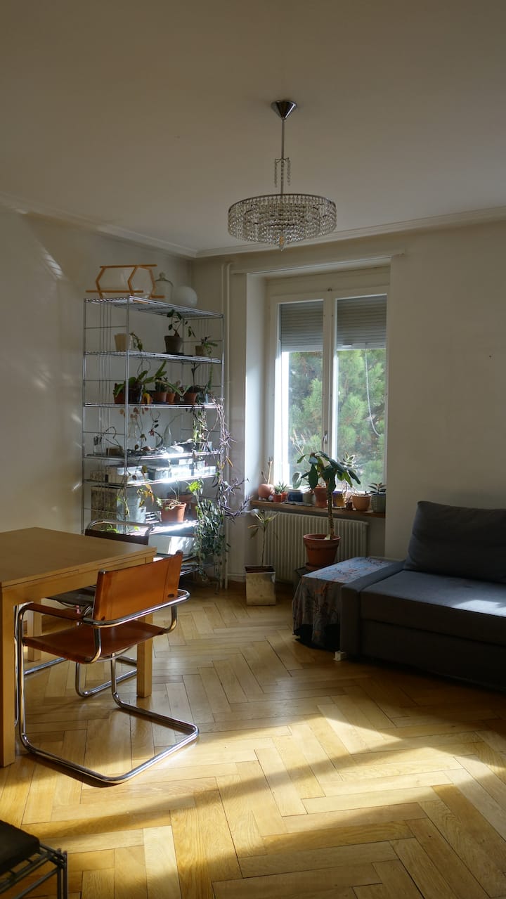 Cozy Apartment In Basel - Basel