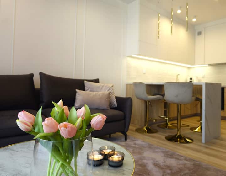 Urban Apartments Luxury Opolska 10 No 29, Garage - Katowice