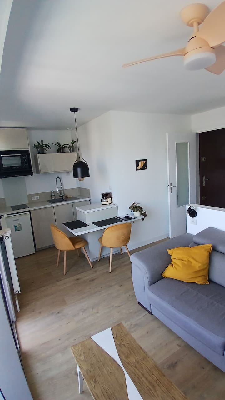 Studio Triangle D'or - Annecy