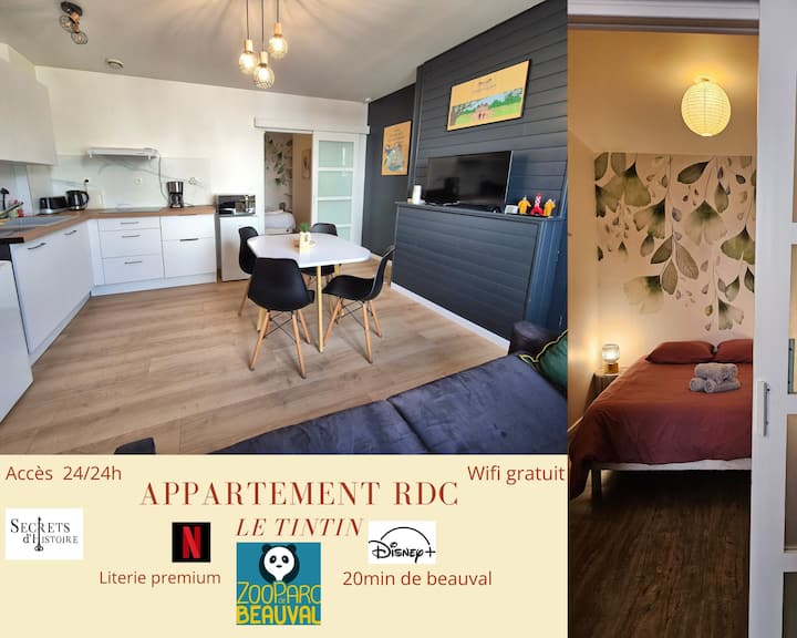 *T2*ctre Ville*proche Beauval*fibre*. - Montrichard