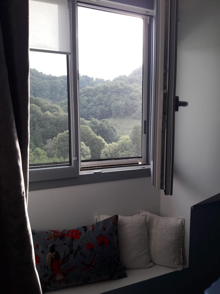 Du Neuf Dans Le Vallon Du Salut - Bagnères-de-Bigorre