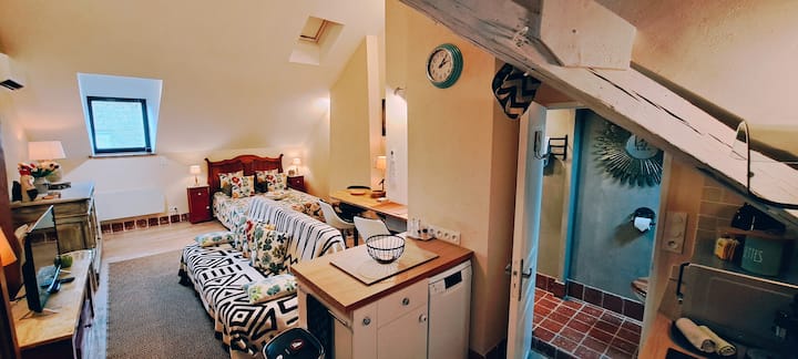 Cosy Studio-loft Climatisé à Sancoins - Sancoins