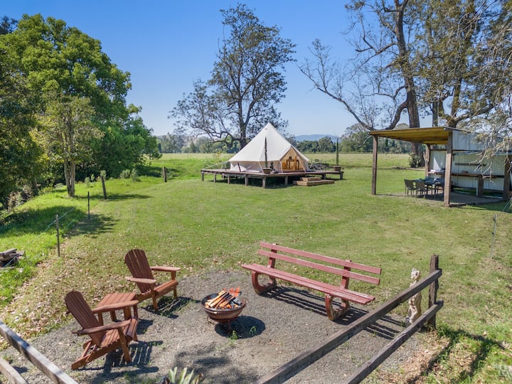 Silky Oak At Figtree Camping - Kyogle
