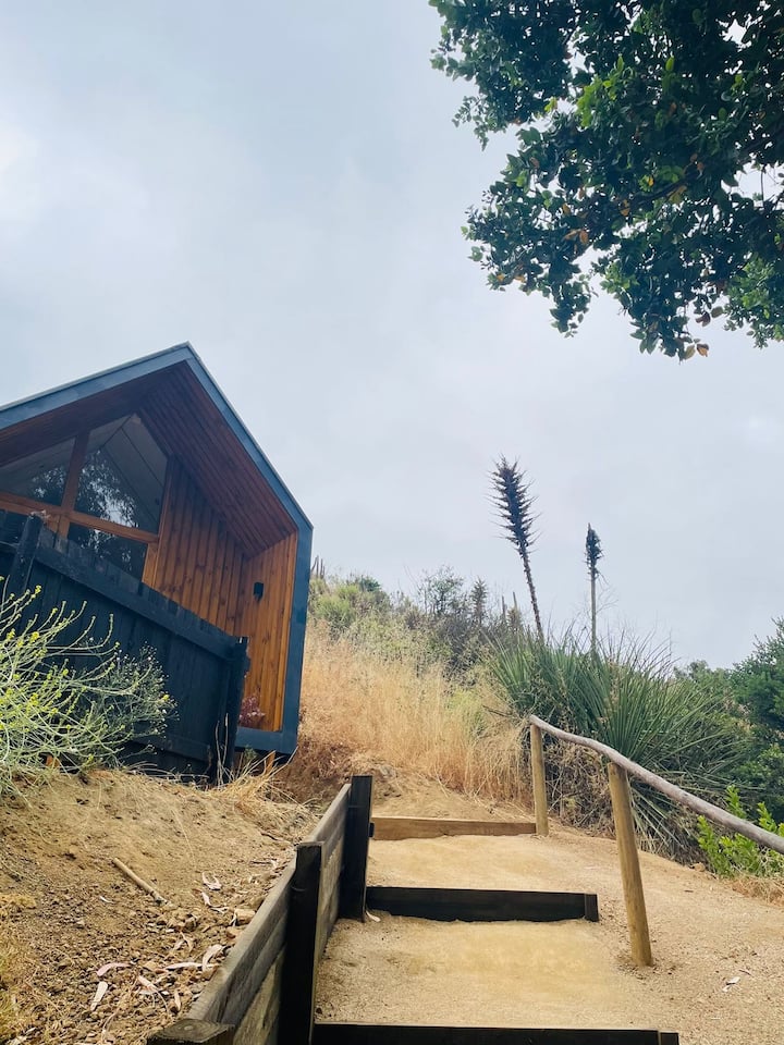 Cabaña Nordic Inmersa En Bosque - Zapallar