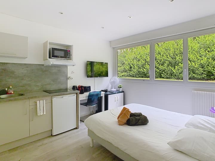 Le Studio Du Château - Vaux-le-Pénil