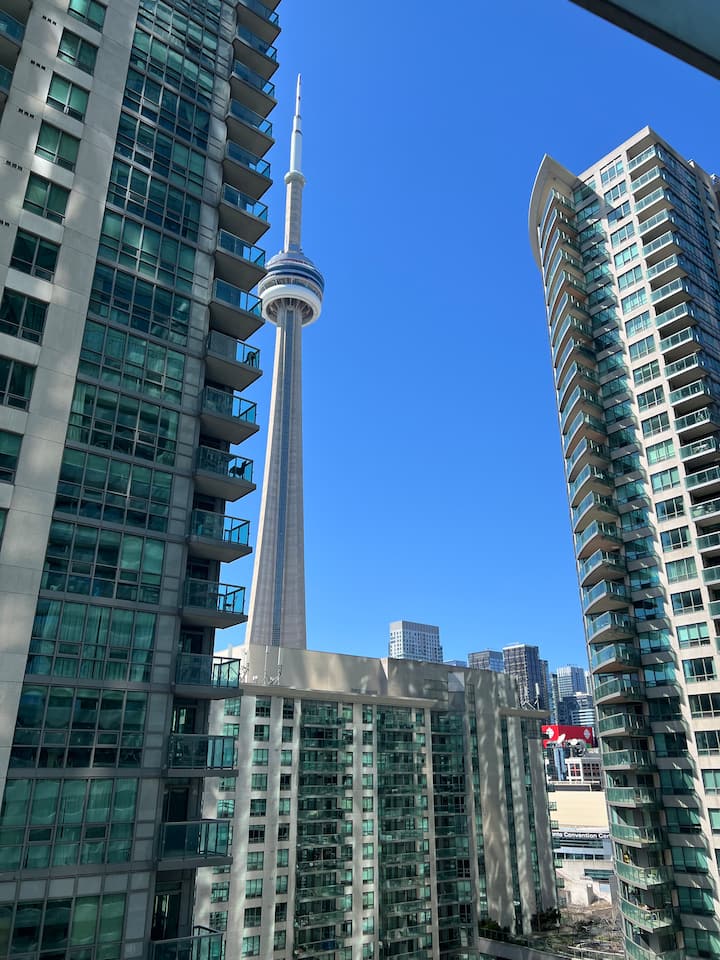 Suite In The Heart Of Downtown +Working Space - Toronto