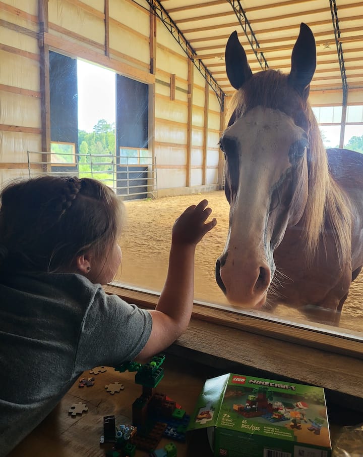 Horses ~ Sleep In The Barn! You'll Love It! - Alabama