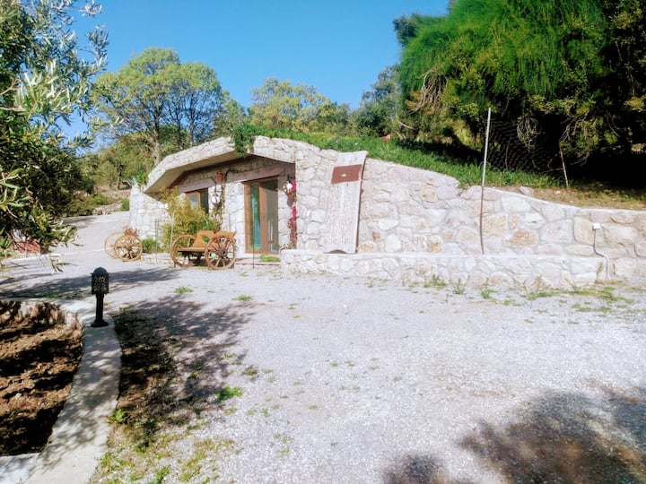 Assos Sivrice Deveboyun Zeytinoda - Assos - Behramkale