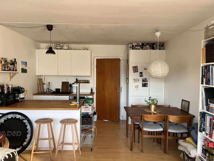 Entire Apartment In Nørrebro - Copenhaguen