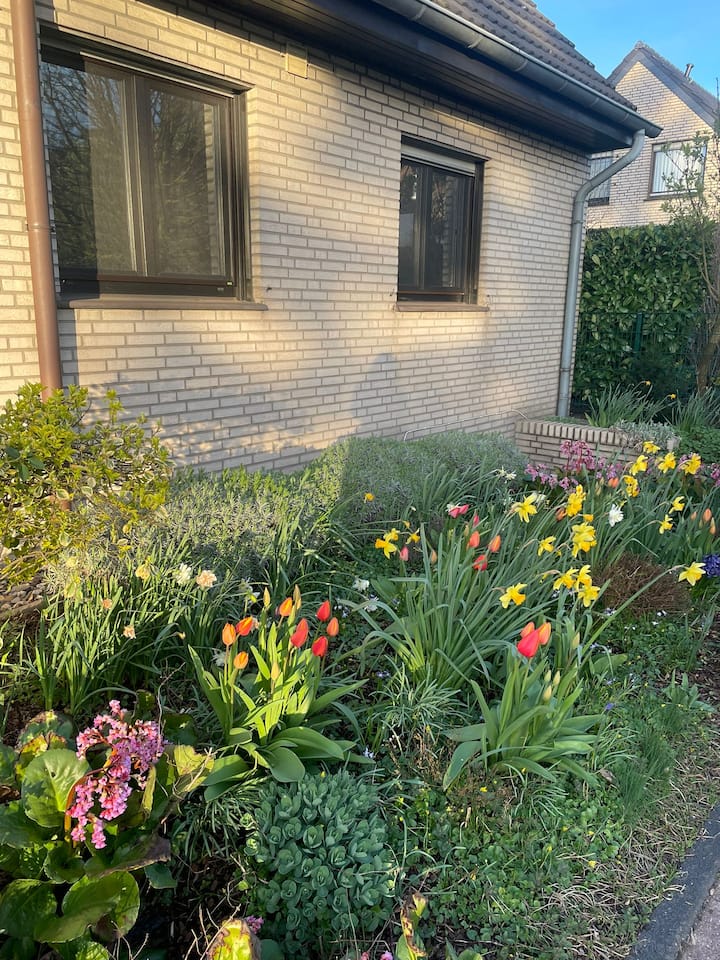 Vacation Cottage Magnolie Xanten - Xanten