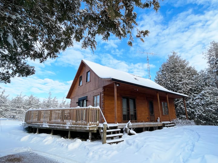 Evergreen Log Home With Hot Tub + Pool - Napanee