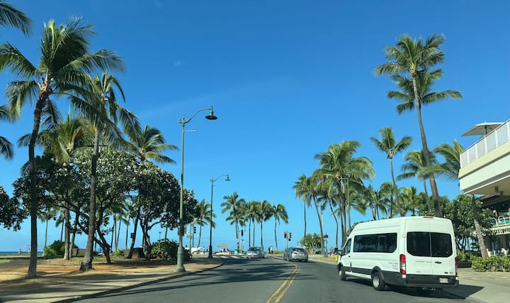 Pet Friendly Bedroom In Shared House-waikiki Area - Honolulu, HI