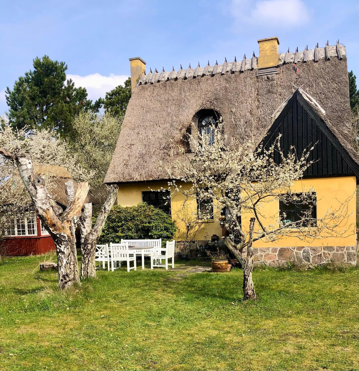 Beautiful thatched cottage by the sea and beach. - Houses for Rent in ...