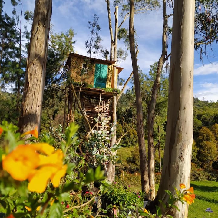 Espectacular Casa En El Arbol - Jenesano