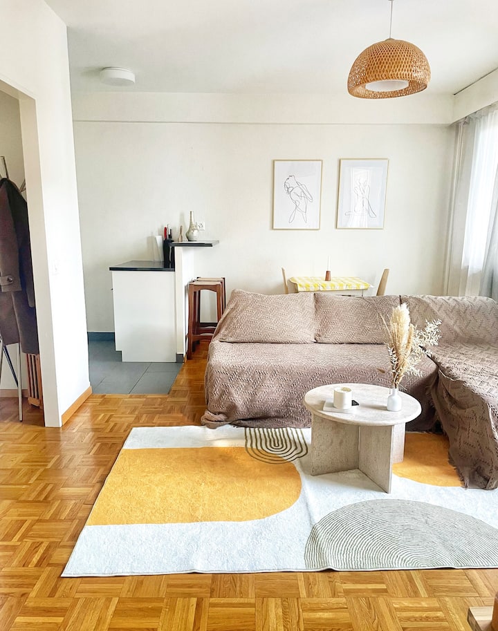 Central Cozy 1-bdrm By Train+lake - Saint-Genis-Pouilly