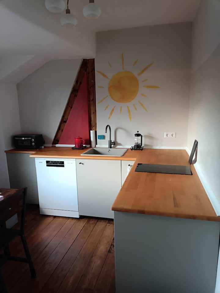 Sonniger Altbau Mit Garten - Potsdam