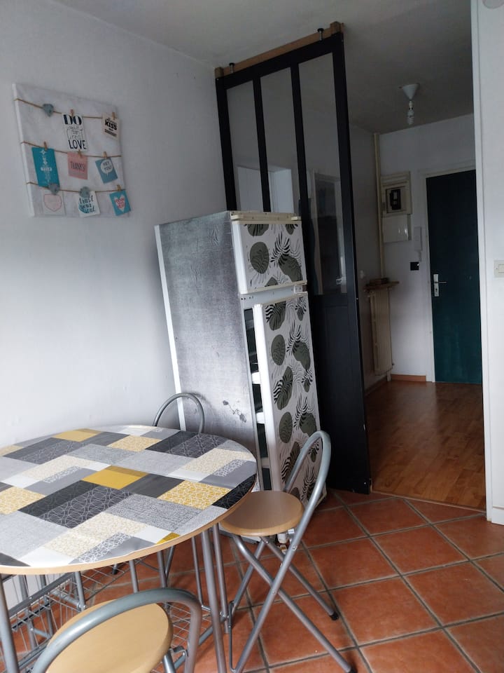 Appartement Avec Parking Privé îLe De Nantes - Nantes