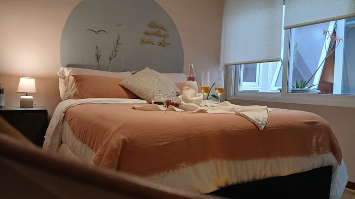 Appartement Central : Style Et Confort Partout - Concordia