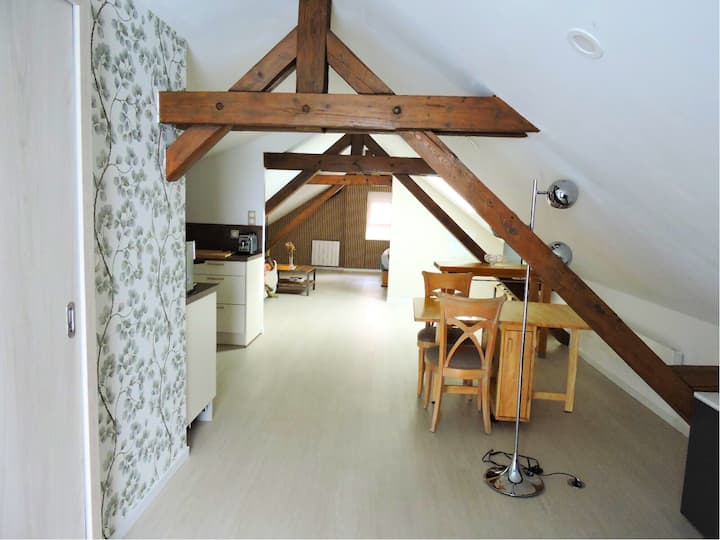 Appartement Cosy Proche Centre - Colmar