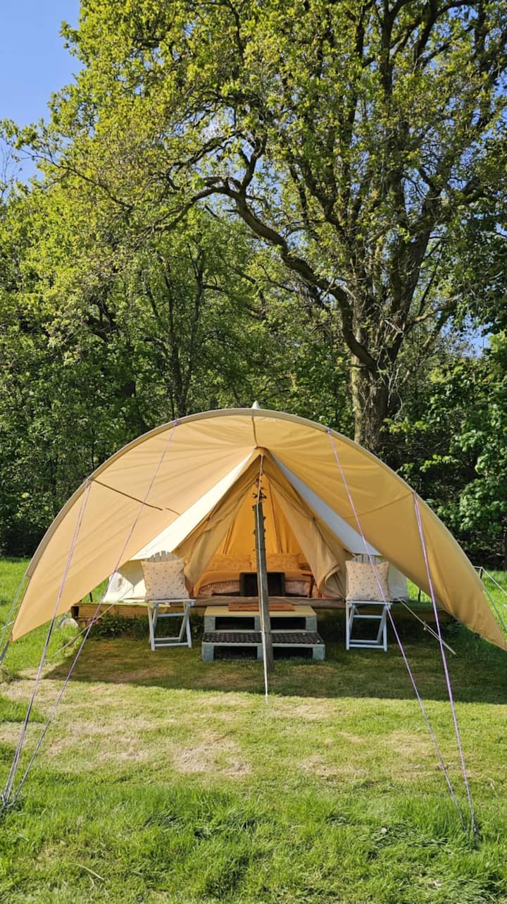 Derwen Bell Tent @ The Enchanted Oak - Aberaeron