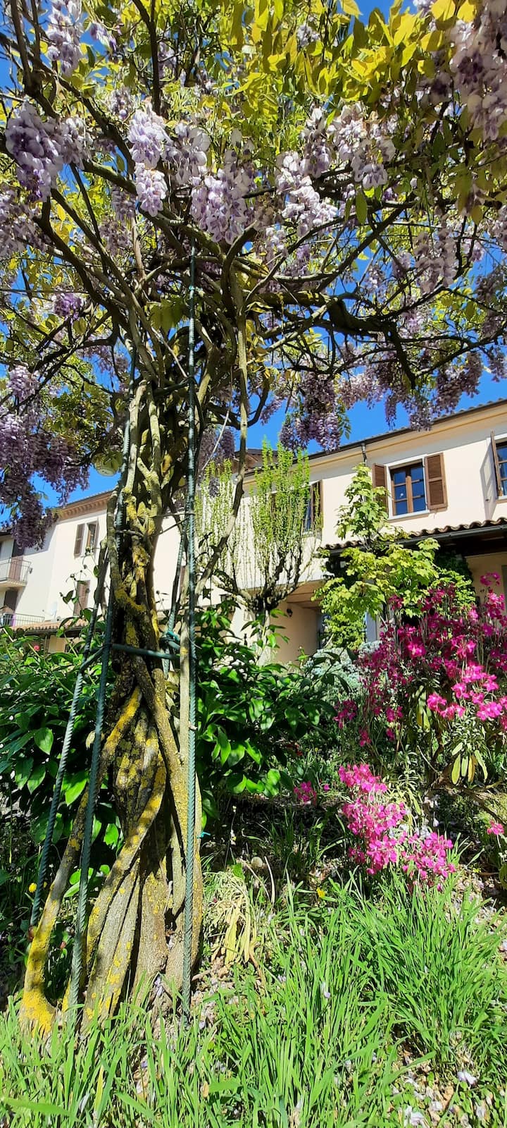 Casa San Rocco - Asti