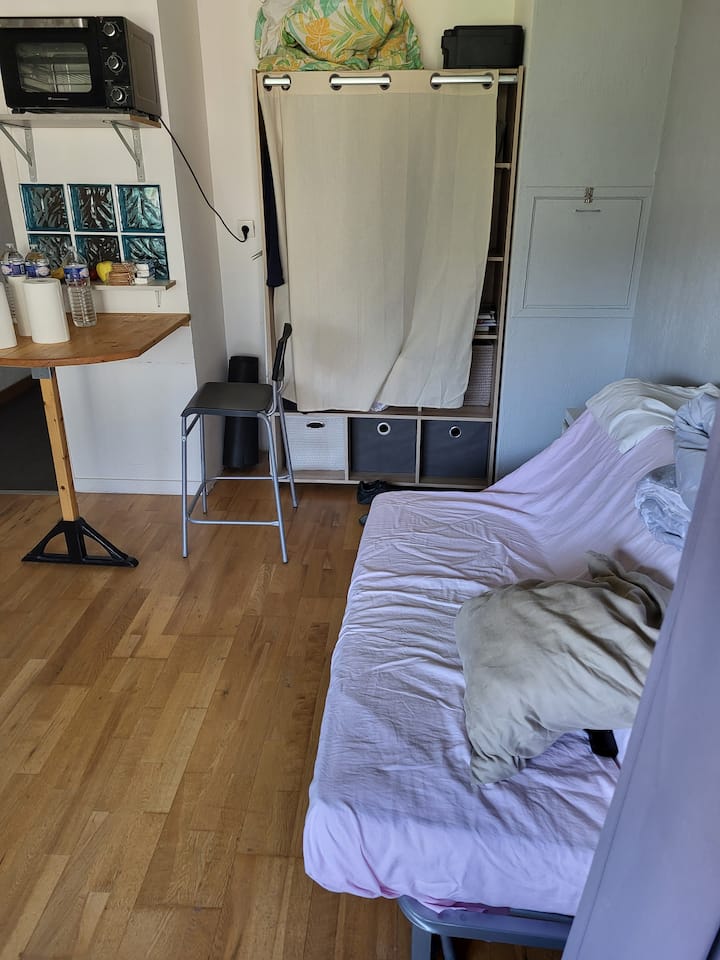 Vue Sur Le Mont Blanc - Ibis Budget Sallanches