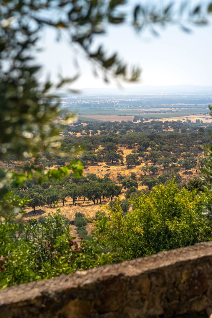 Casa Do Outeiro - Portel