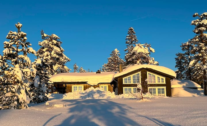 Hytteperle For Fjellfolk På ØVre Gvelven Blefjell - Norway