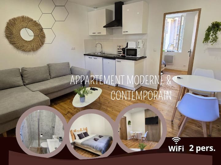Appartement Moderne Et Contemporain, Wifi, 2 Pers - Pau