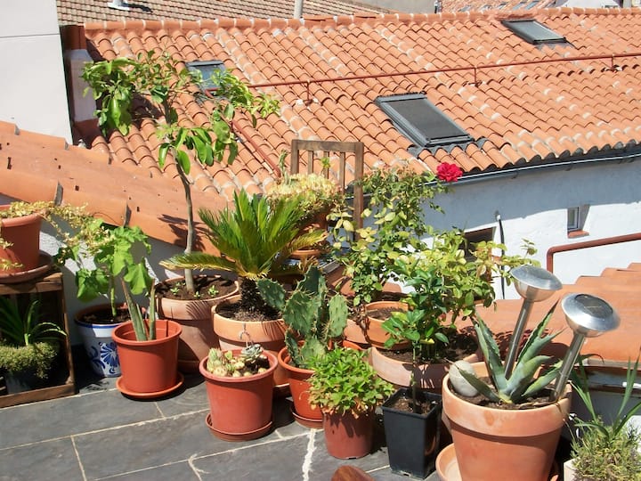 Lovely Small Loft (La Latina/tirso De Molina) - Madrid