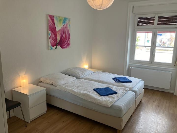 2 Bed Room Apt - City Center - Basel