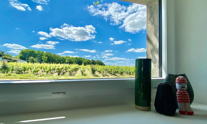 Gîte Au Cœur Du Vignoble Nantais - Loire-Atlantique