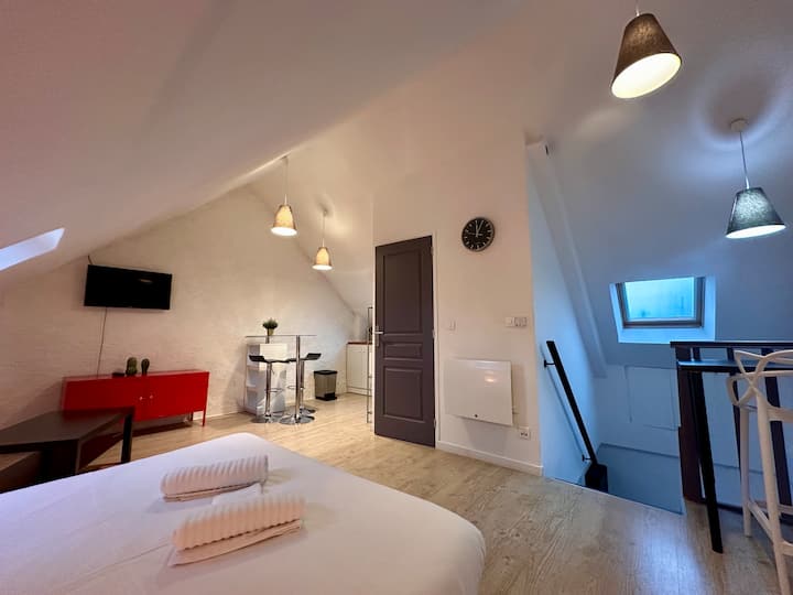 Arago 4 - Studio Toits De Tours - Tours