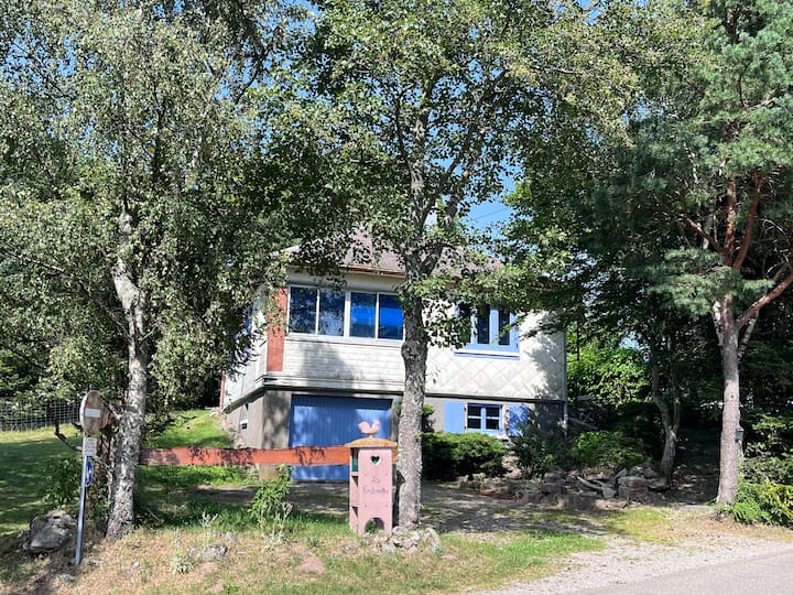 Les Fermes De Pinpin : Le Pavillon Maison Entière - Munster