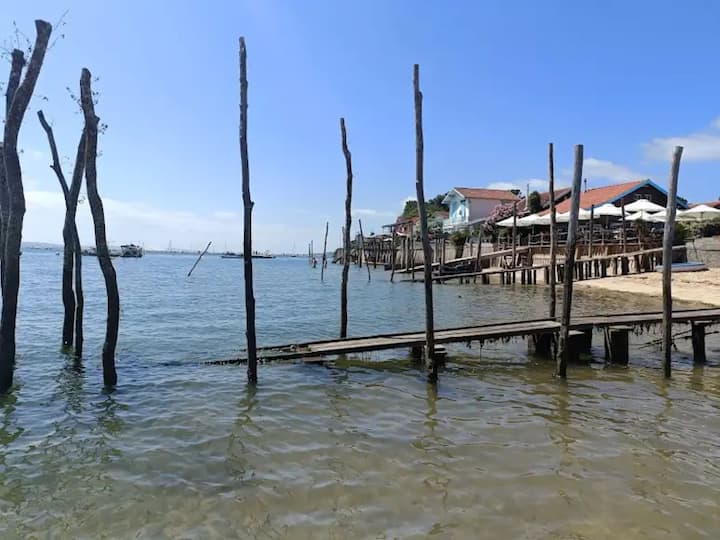 Appartement 2 Chambres Presqu'île Du Cap-ferret - 費拉角