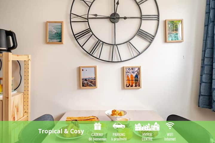 Tropical & Cosy - Vieux Tours - 土爾