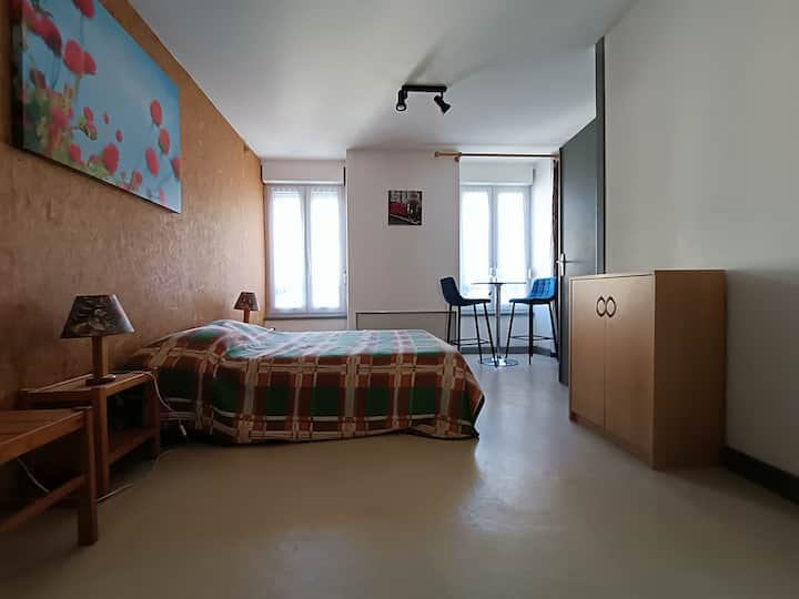 Studio Sur Cour Et Jardin (Appt #9) - La Bourboule
