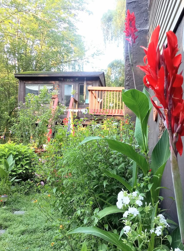 Unique Treehouse Cabin. Superb Village Location ! - New Paltz, NY