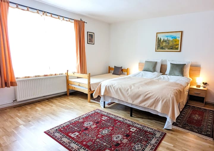 Simple Apartment Near City Center - 塞拉耶佛