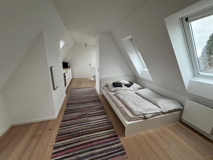 Kleines Feines Studio Apartment - Munich