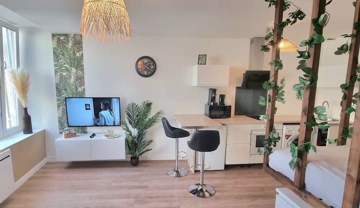 New Jungle Studio Cœur De Ville - Pont-à-Mousson