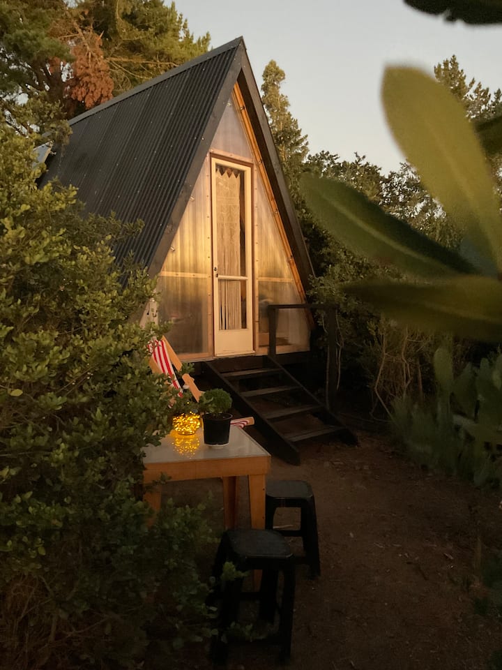 Refugio Minga Camp - Chile
