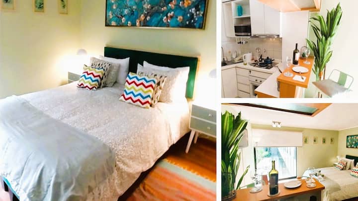 Barrio Histórico Y Bohemio | Metro | Wifi |Netflik - Providencia