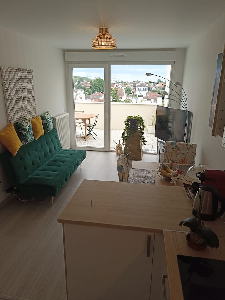 Charming Apartment - Rosny-sous-Bois